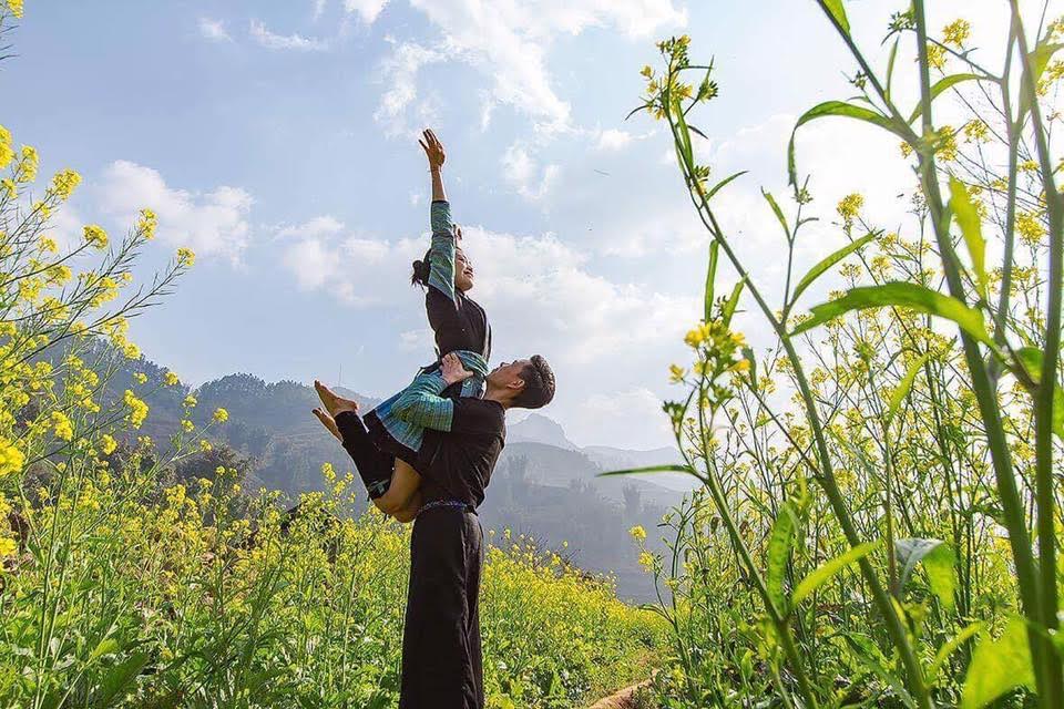 Cánh đồng hoa cải vàng hút hồn du khách ở Sa Pa